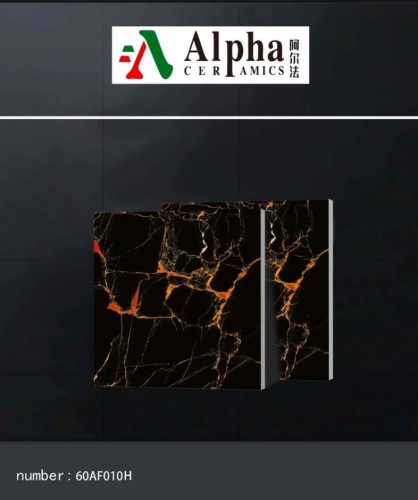 ALPHA | Tiles | 24 X 24 | 60AF010H | Floor Tile | Polished | Black ...