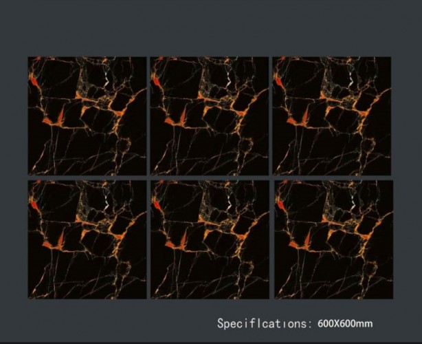 ALPHA | Tiles | 24 X 24 | 60AF010H | Floor Tile | Polished | Black ...