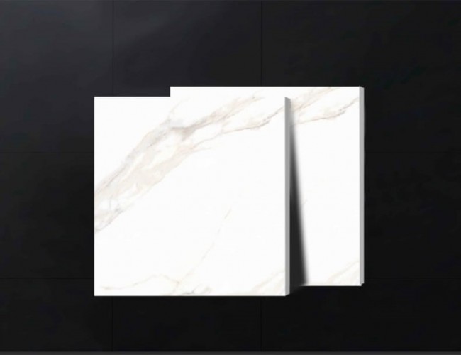 ALPHA | Tiles | 24 X 24 | 60AF020 | Floor Tile | Polished | White ...