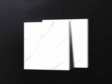ALPHA | Tiles | 24 X 24 | 60AF005 | Floor Tile | Polished | White ...