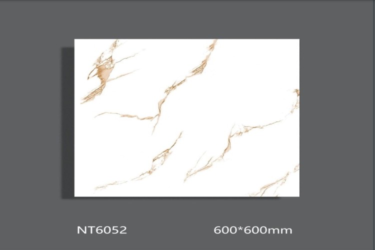NATURE | Tiles | 24 X 24 | NT6052 | Floor Tile | Polished | White | AAA Quality - Pick Tiles